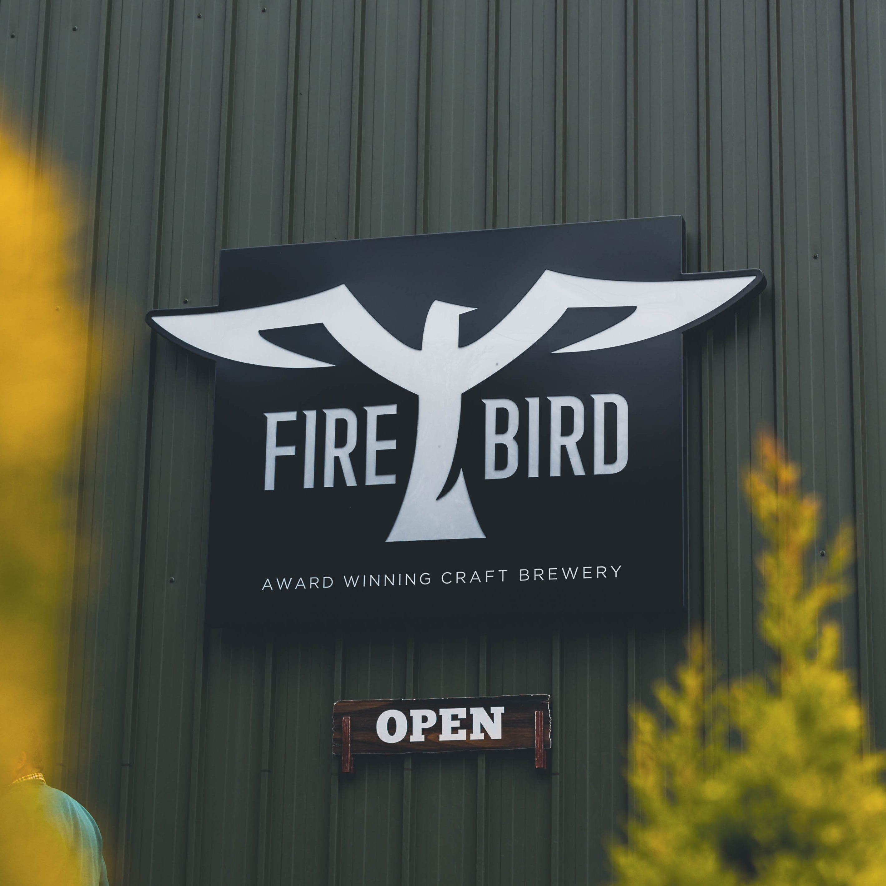 Fasica Signs – Finch
